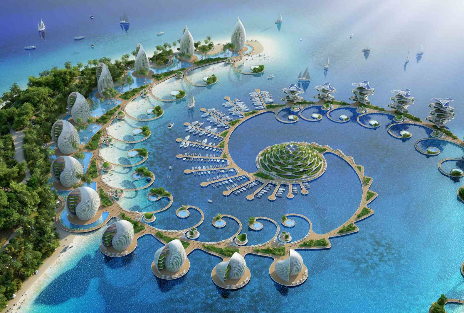 Meet Kelly Krezek, CEO and Founder of New Earth Now