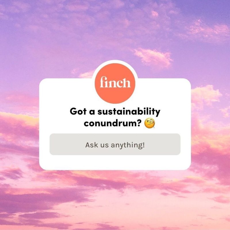 Green.Org Person Of The Week: Finch CEO Lizzie Horvitz