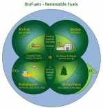 What Are Biofuels and How Do They Work?