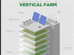 Step-by-Step Guide to Setting up a Vertical Farm