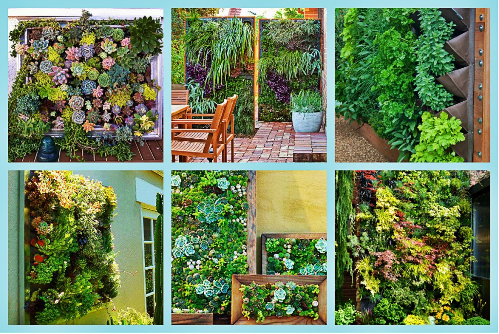 Vertical Gardens: A Sustainable Landscaping Solution