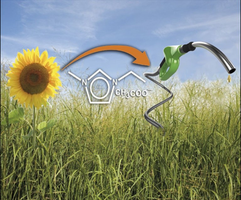 The Social Impact of Biofuels: A Thought Leader's Reflection