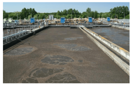 Bioaugmentation in Wastewater Treatment: A Promising Frontier