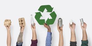 Sustainable Packaging Solutions and Their Impact on Waste