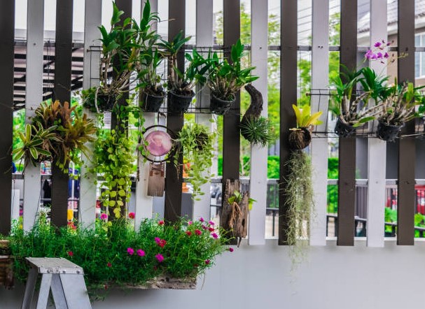 Types of Vertical Gardens