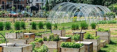 Vertical Farms: A Solution for Resilient Food Systems