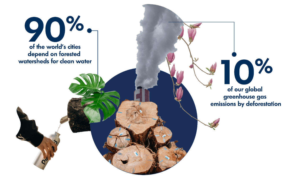 Biofuels' Contribution to Biodiversity Conservation
