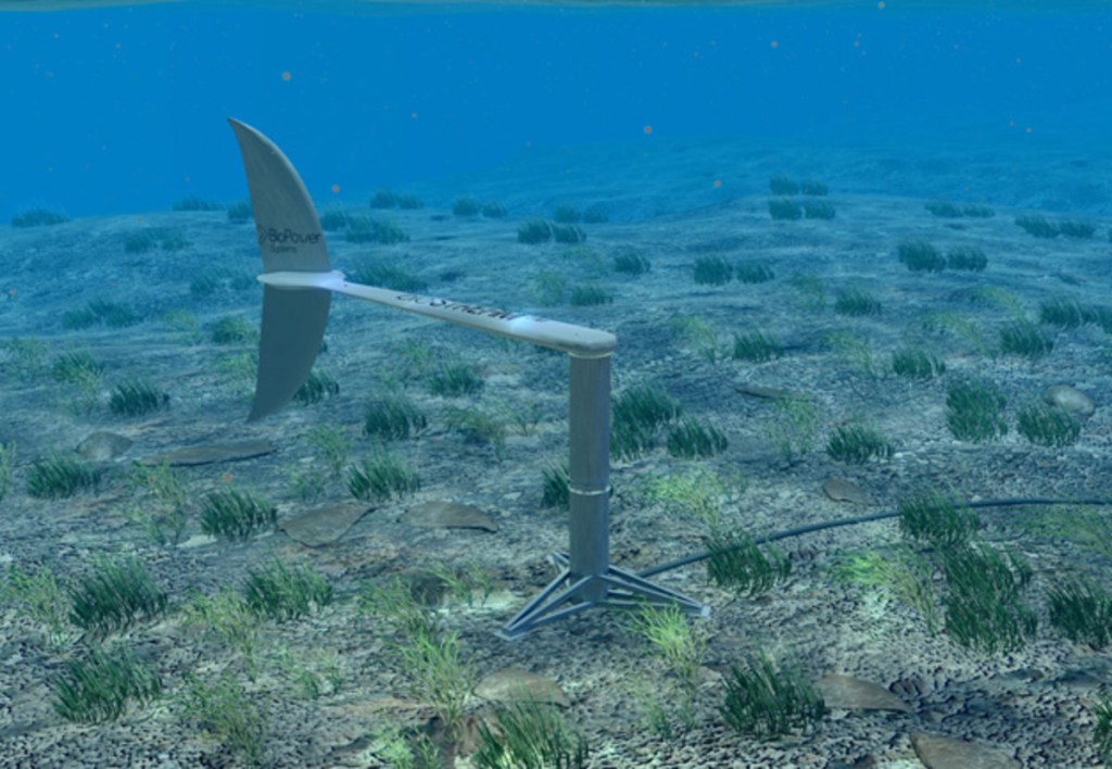 Harnessing Energy from Ocean Currents