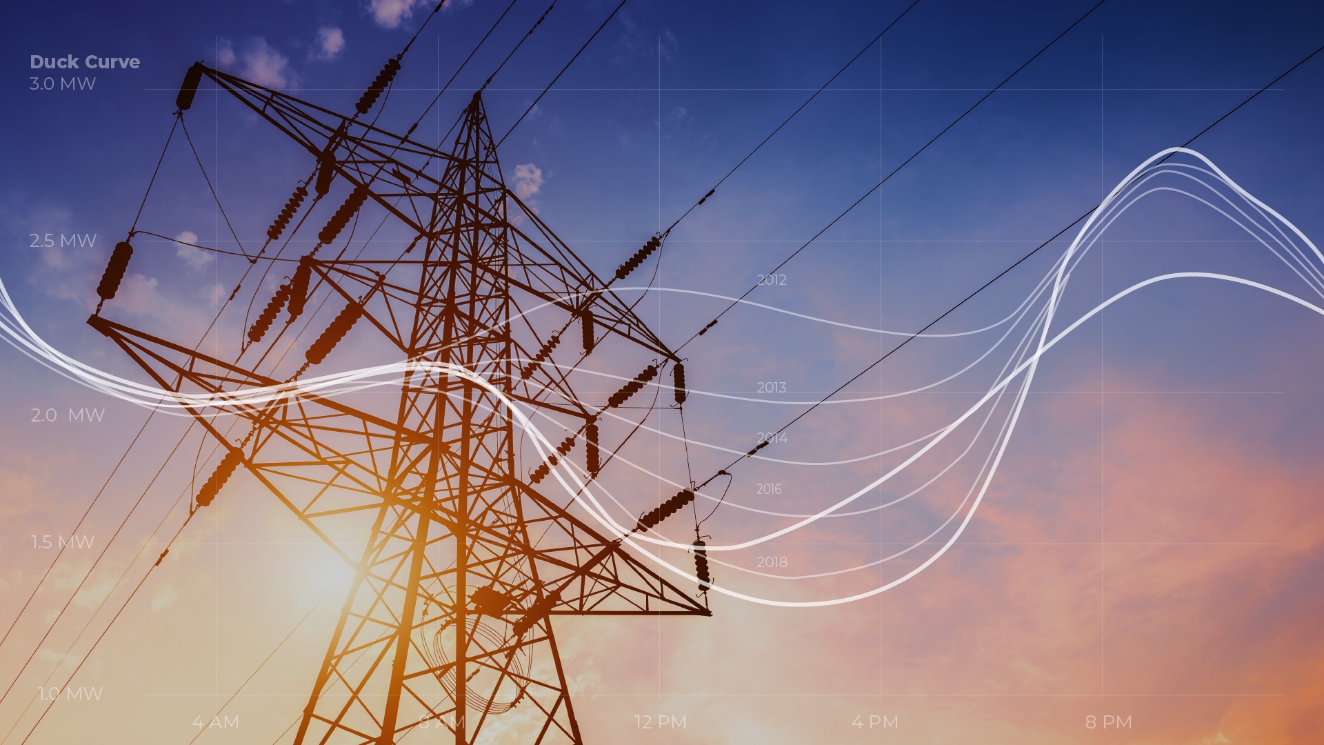 The Mighty Duck Curve: How this animal can help explain energy demand ...