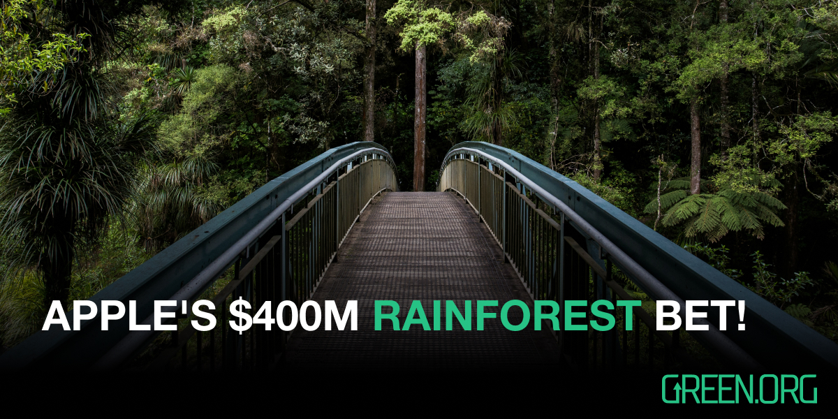 Apple's Restore Fund: A $400 Million Bet on Saving the Rainforest!