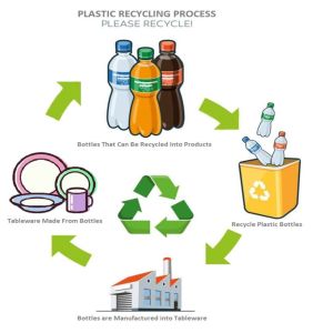 What can plastic bottles be recycled into?