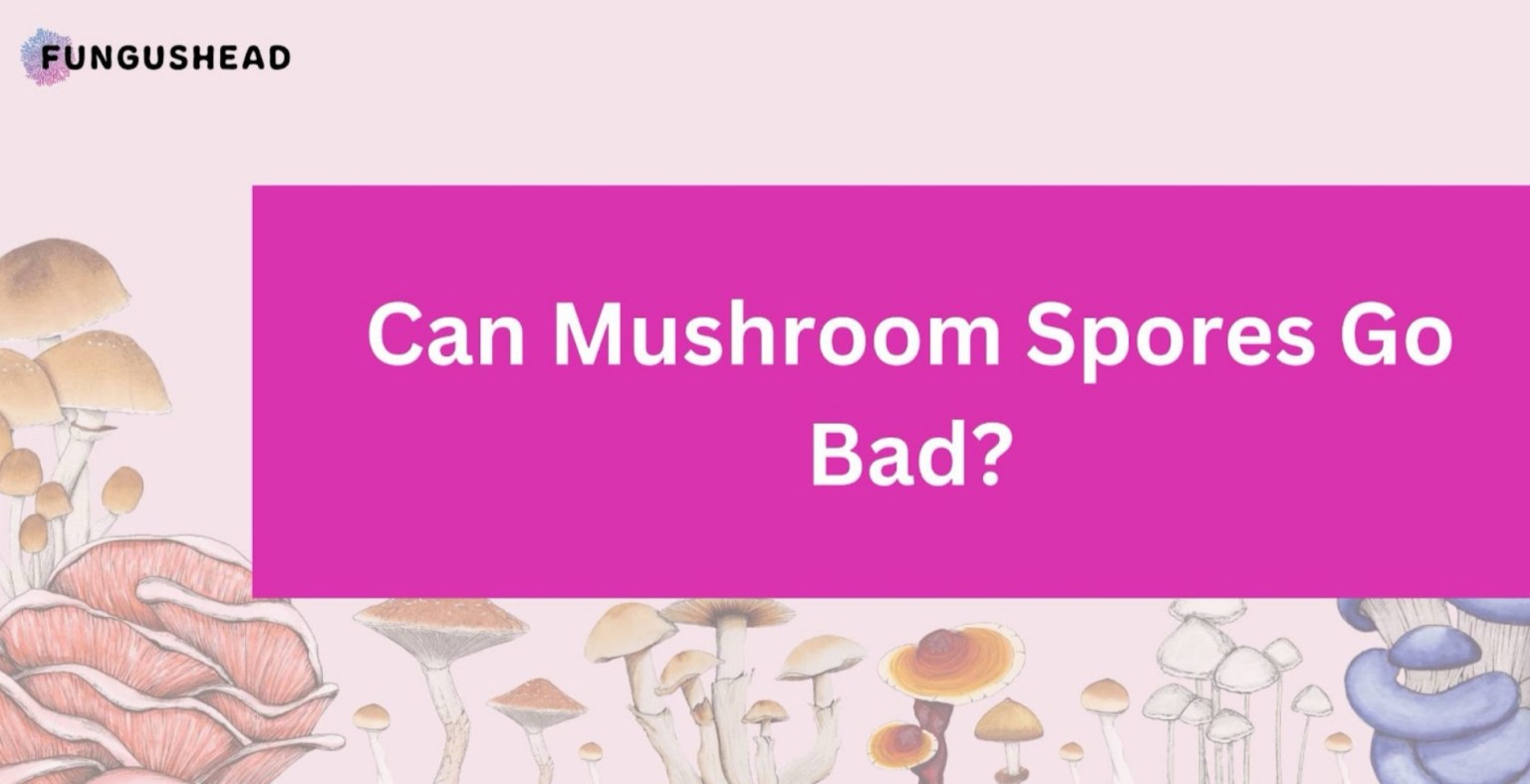 Can Mushroom Spores Go Bad? Signs, Storage Tips, and How to Revive Them